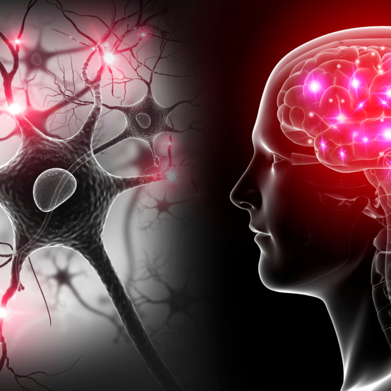 The Mind-Body Connection: How Physical Health Impacts Mental Well-being – Brain Therapy Clinic