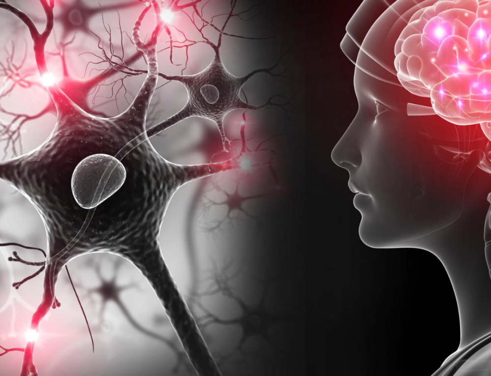 The Mind-Body Connection: How Physical Health Impacts Mental Well-being ...